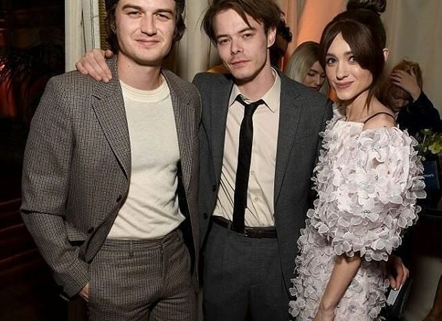 Charlie Heaton (Actor and musician) Age, Biography, Height, Net Worth ...